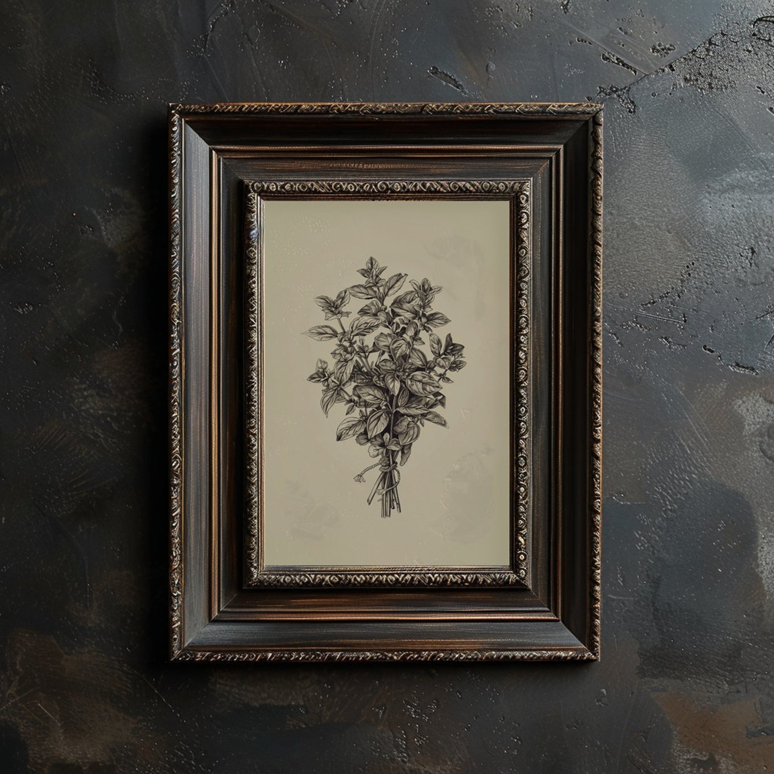 Oregano Botanical Wall Print Vintage Oregano Illustration Wall Art ...