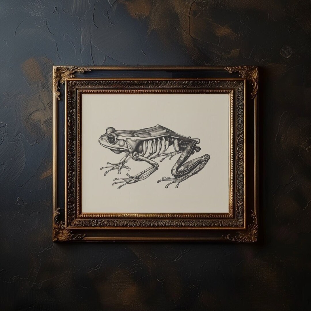 Frog Skeleton Wall Art, Printable Frog Skeleton, Frog Anatomy Poster ...