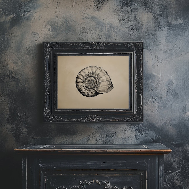 Ammonite Printable Wall Art, Dark Vintage Sketch Art, Black Ink Fossil ...