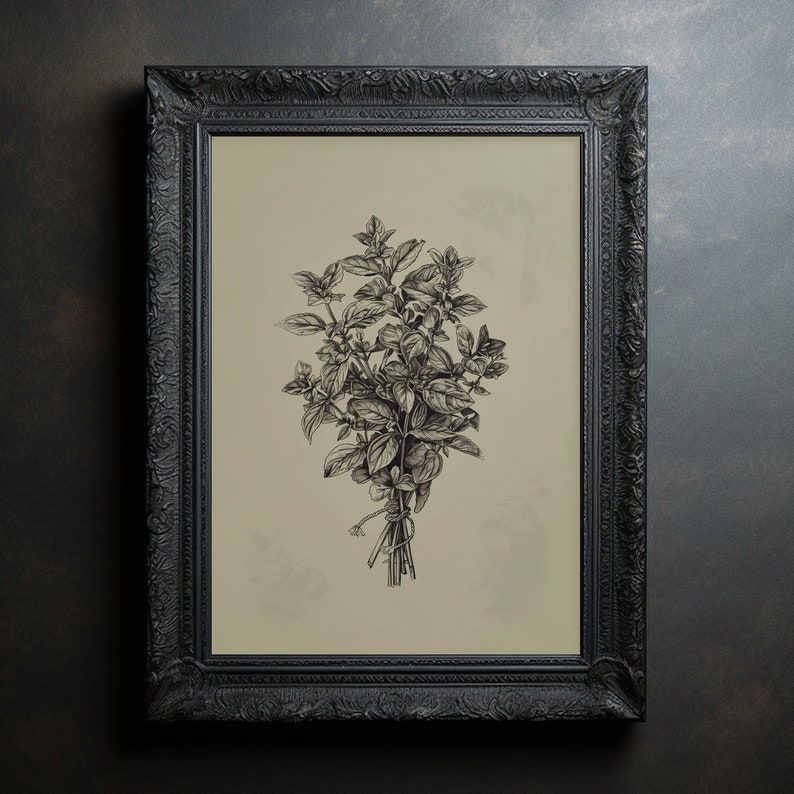 Oregano Botanical Wall Print Vintage Oregano Illustration Wall Art ...