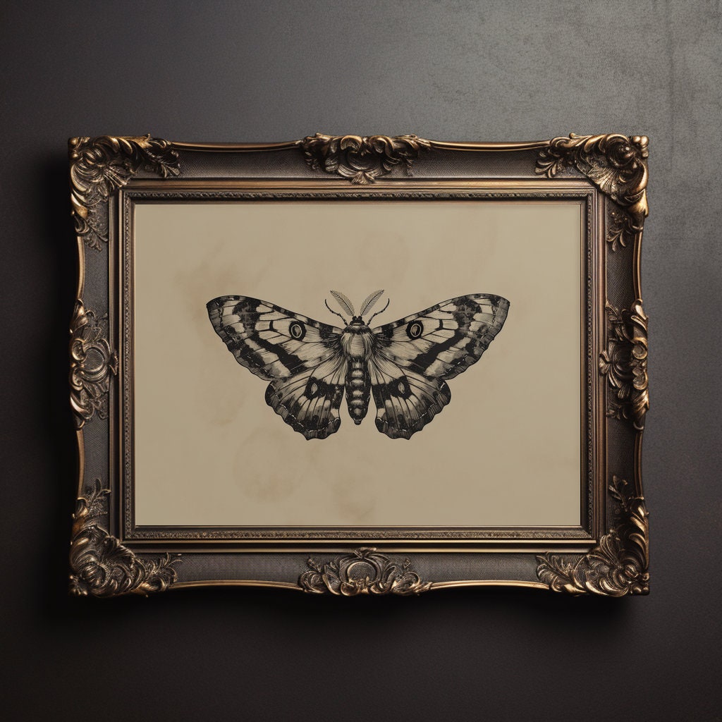 Moth Wall Art Print Vintage Moth Art Printable Dark Moody Insect Wall ...