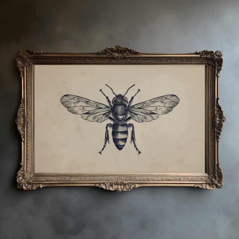 Hornet Art Print Wasp Entomology Printable Insect Illustration for Bug ...