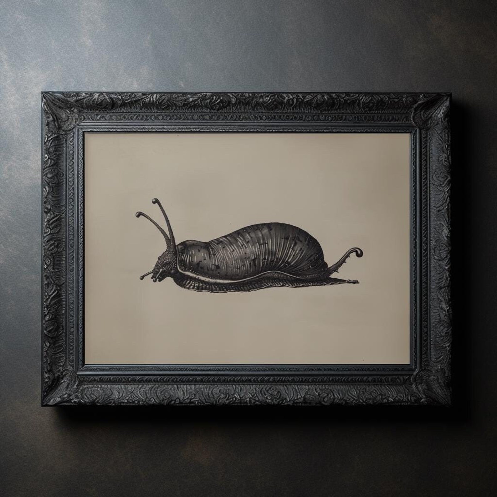 Slug Art Print Anatomy Slug Printable Garden Slug Illustration Vintage ...