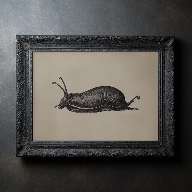 Slug Art Print Anatomy Slug Printable Garden Slug Illustration Vintage ...