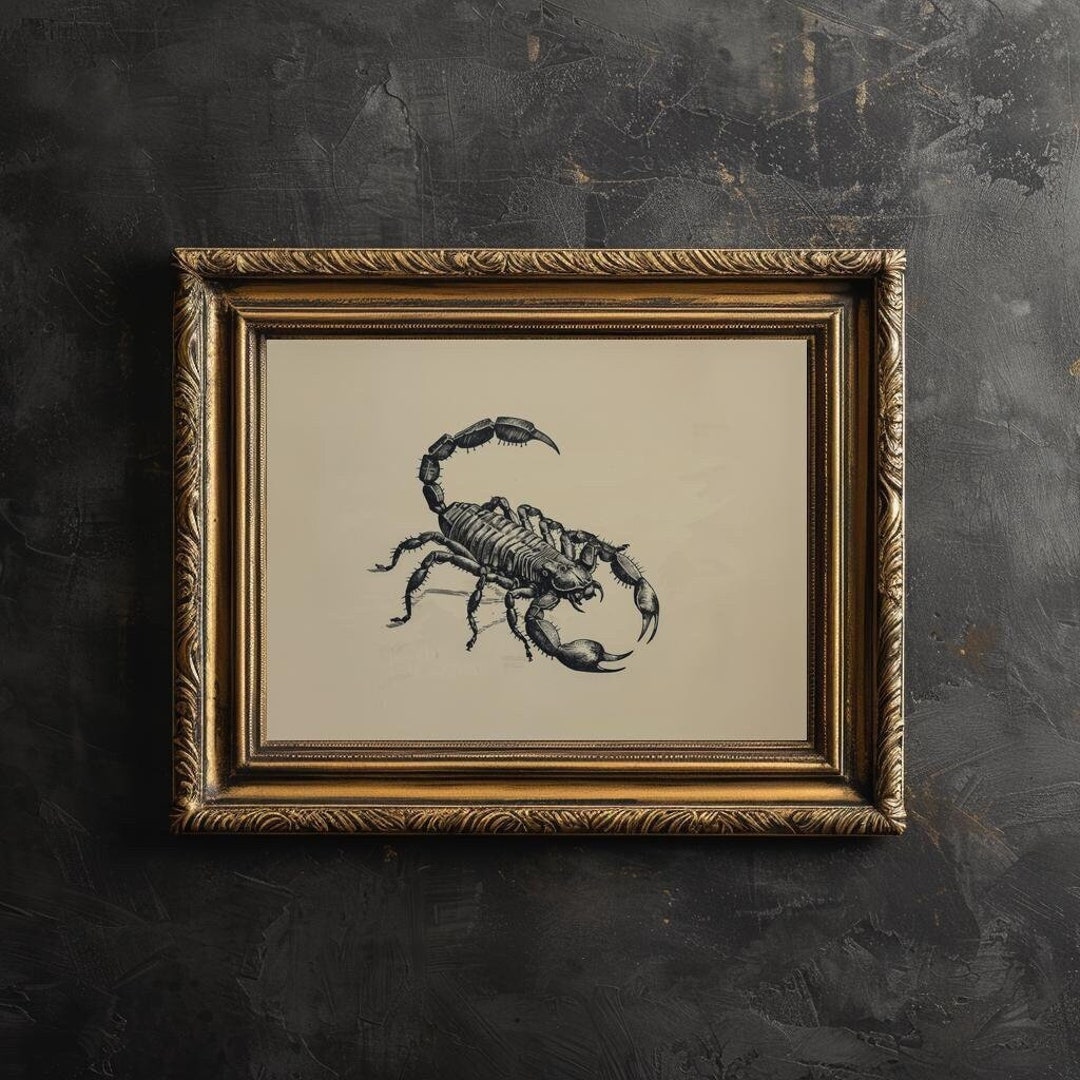 Scorpion Wall Art Printable Scorpion Anatomy Illustration Scorpion ...