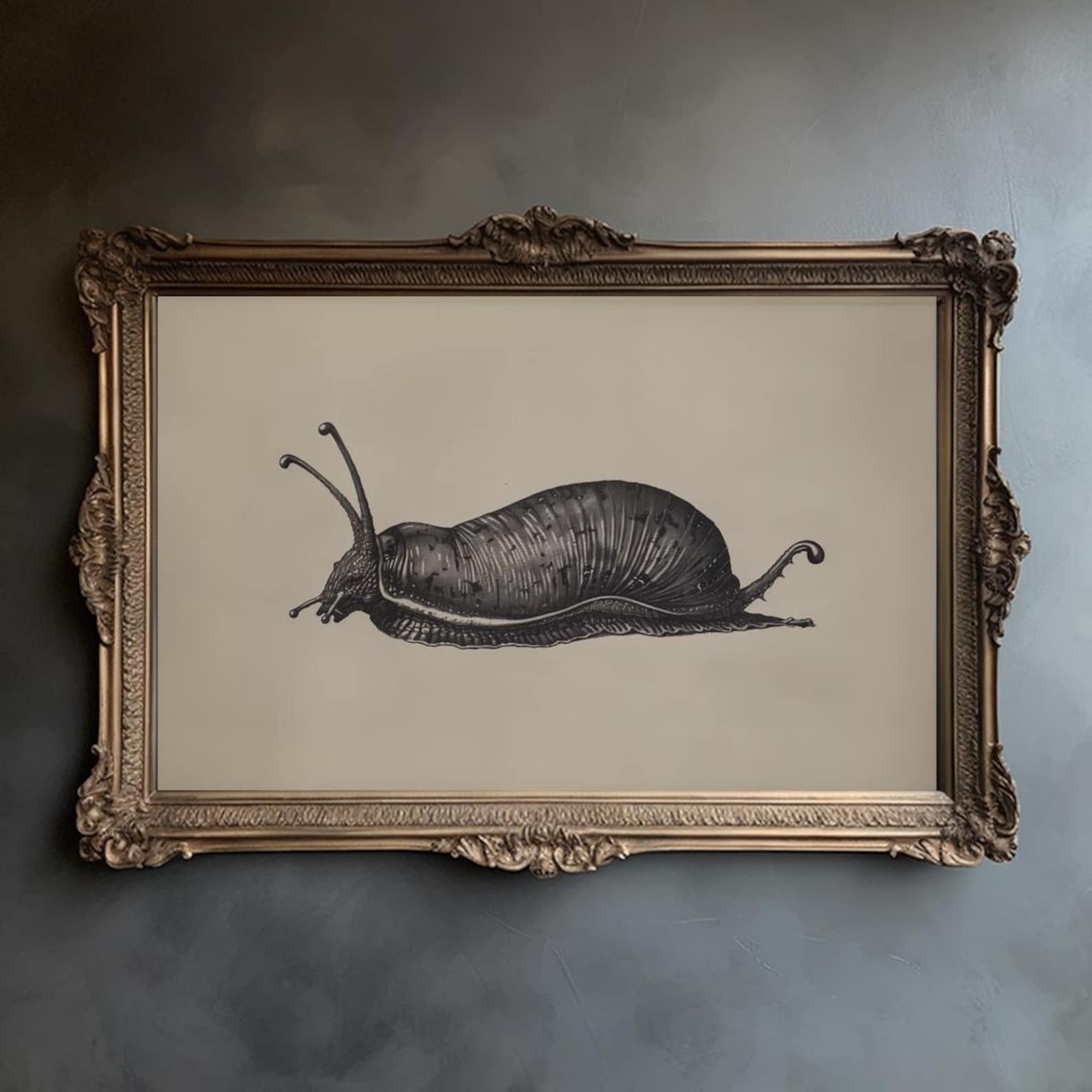 Slug Art Print Anatomy Slug Printable Garden Slug Illustration Vintage ...