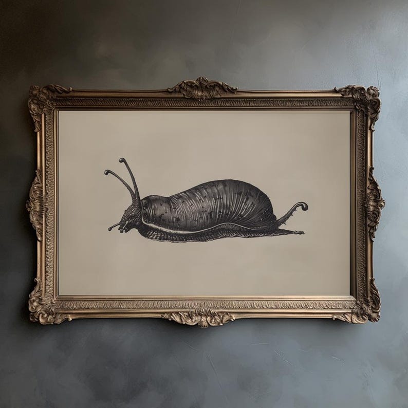 Slug Art Print Anatomy Slug Printable Garden Slug Illustration Vintage ...
