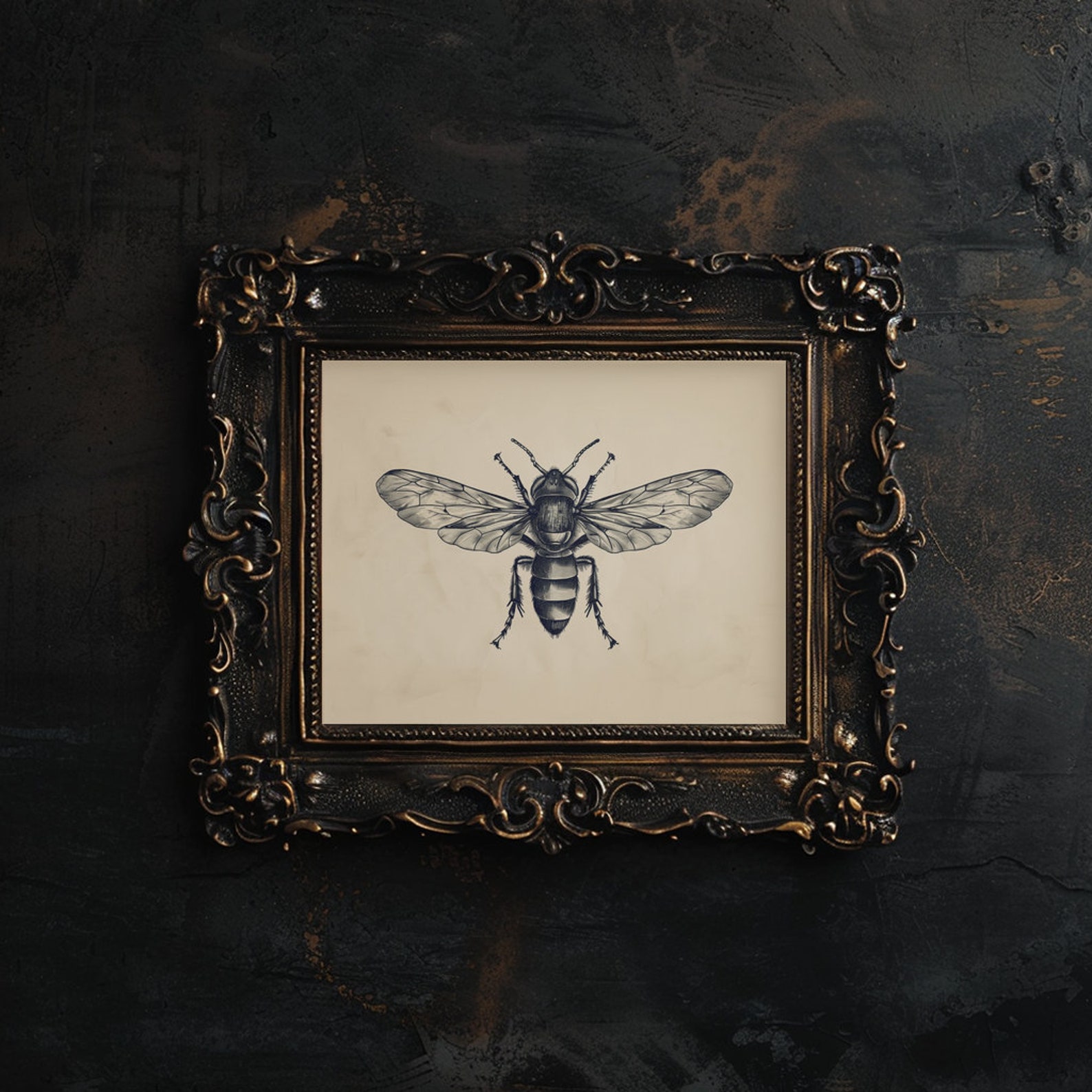 Hornet Art Print Wasp Entomology Printable Insect Illustration for Bug ...