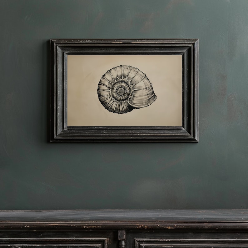 Ammonite Printable Wall Art, Dark Vintage Sketch Art, Black Ink Fossil ...