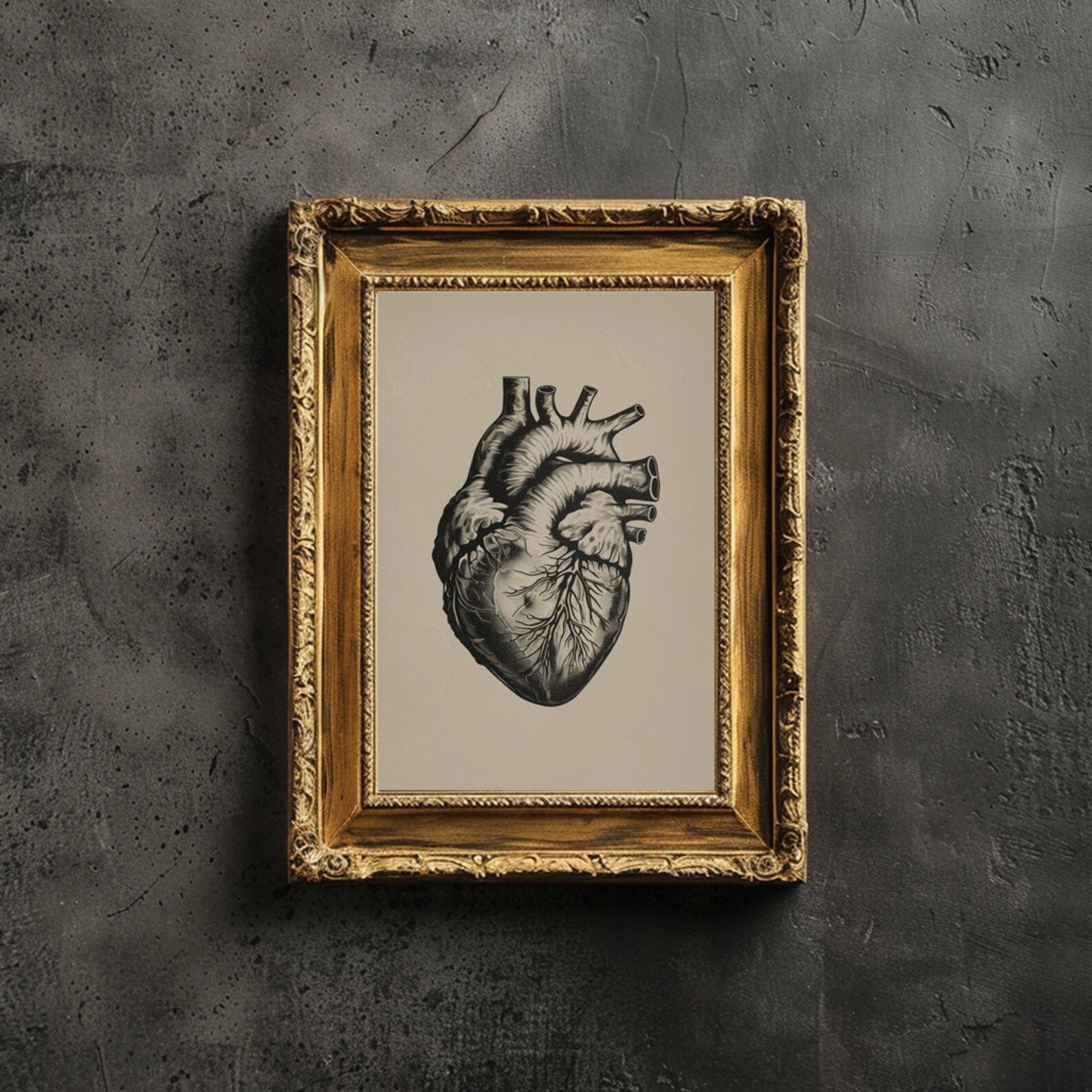 Human Heart Print Anatomical Heart Printable Vintage Heart Anatomy ...