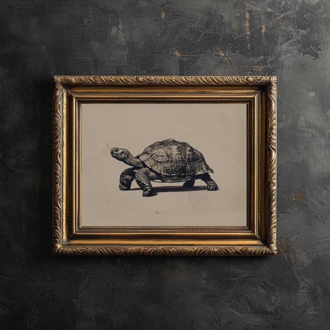 Tortoise Wall Art Printable Tortoise Illustration Anatomy Wall Print ...