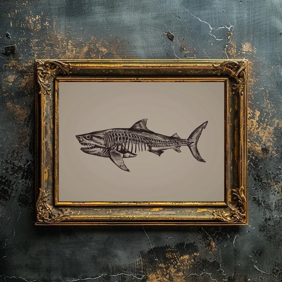 Shark Skeleton Wall Art Printable Shark Drawing Art Print Shark Anatomy ...