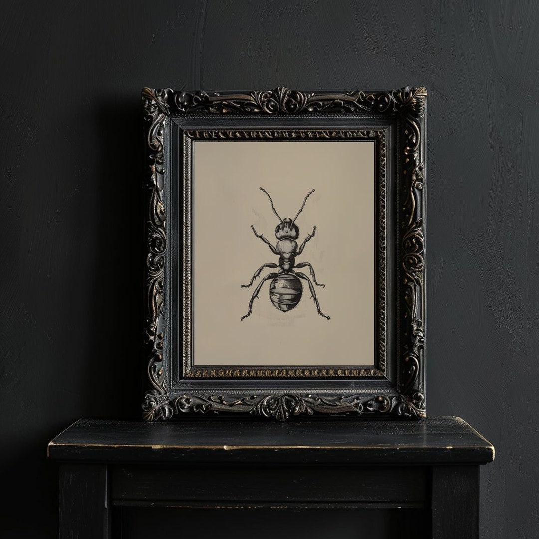 Simple Ant Entomology Digital Wall Art Print, Educational Ant Anatomy ...