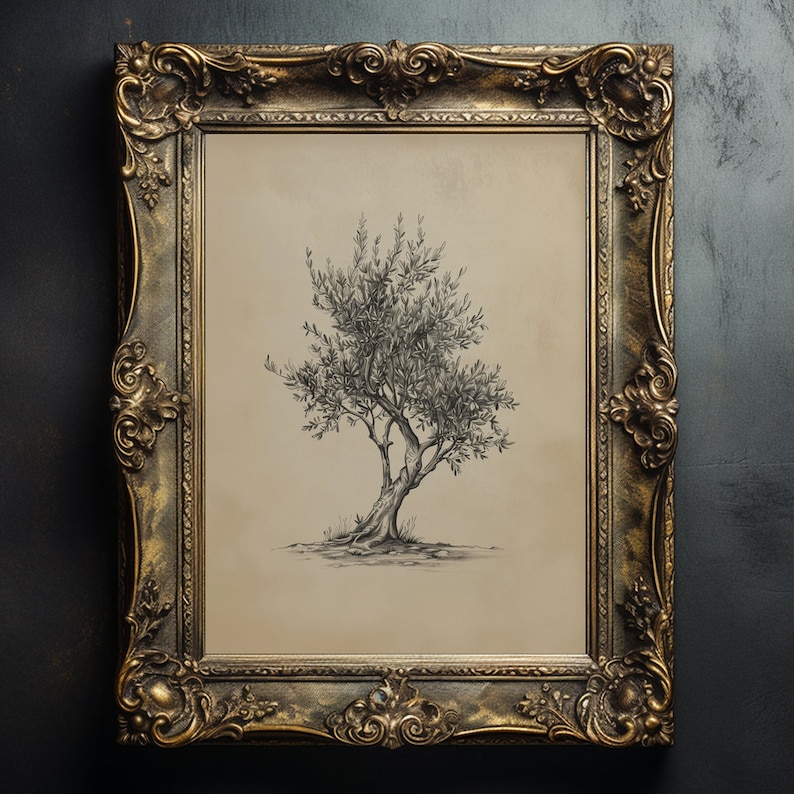 Olive Tree Wall Art Old Olive Tree Printable Tree Illustration Vintage ...