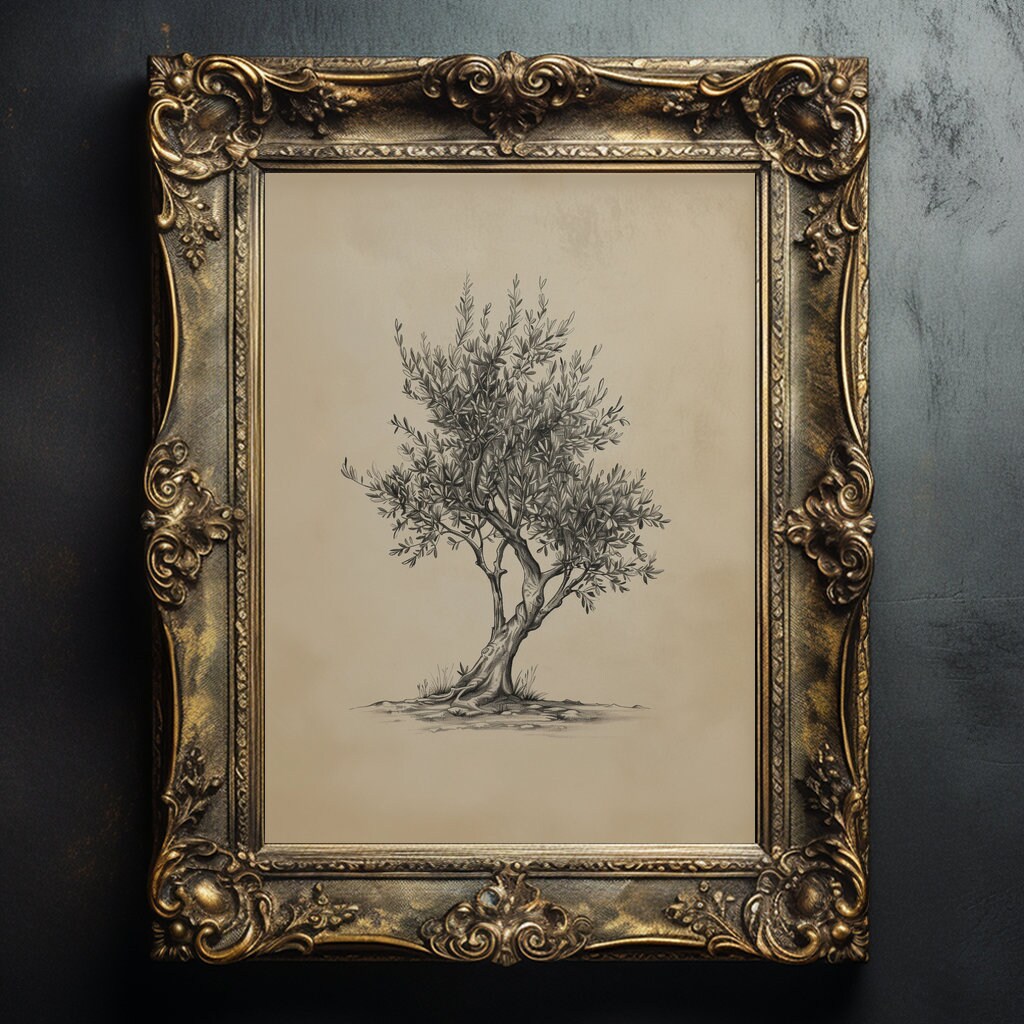 Olive Tree Wall Art Old Olive Tree Printable Tree Illustration Vintage ...