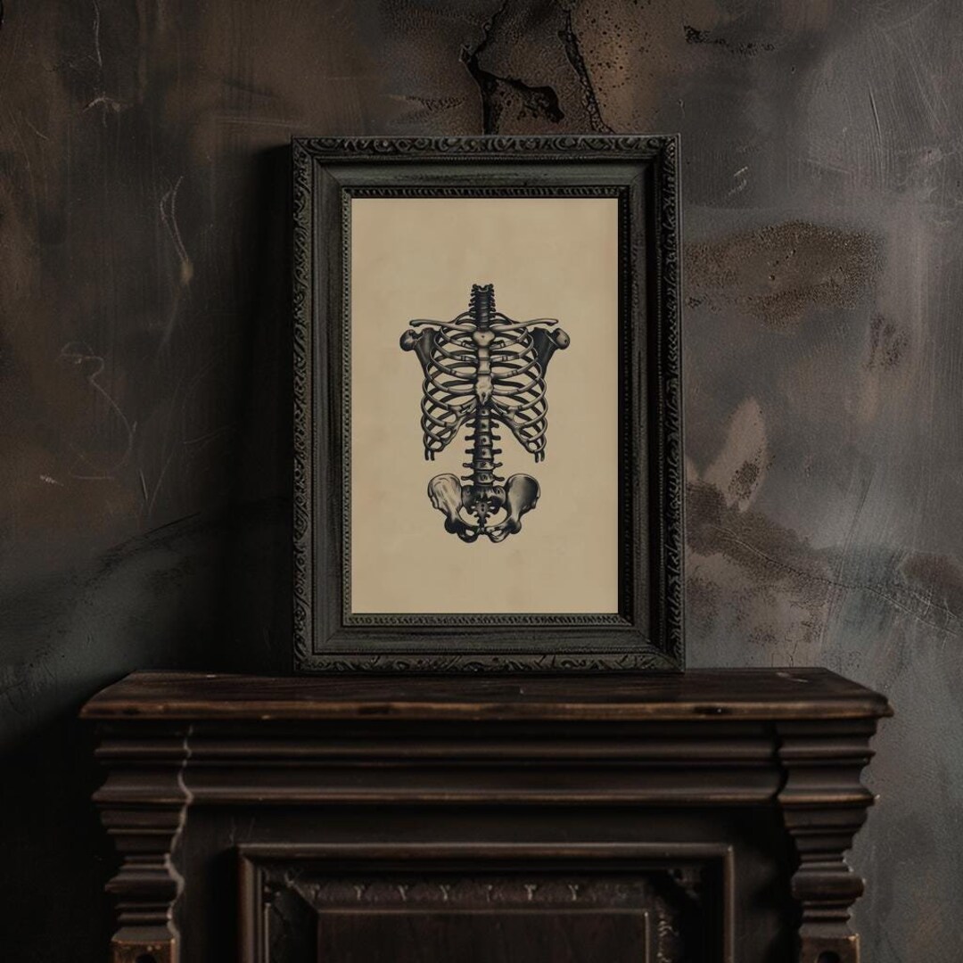 Rib Cage Wall Art Human Anatomy Printable Gothic Ribcage Illustration ...