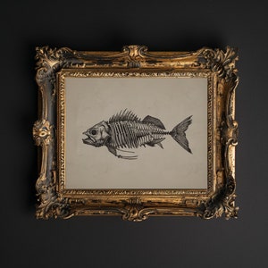 Fish Skeleton Wall Art, Printable Vintage Fish, Marine Fish Poster ...