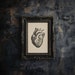 Human Heart Print Anatomical Heart Printable Vintage Heart Anatomy ...