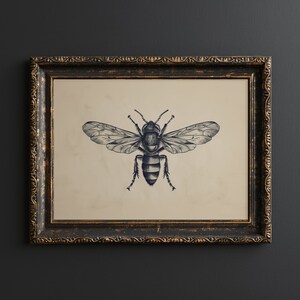 Hornet Art Print Wasp Entomology Printable Insect Illustration for Bug ...
