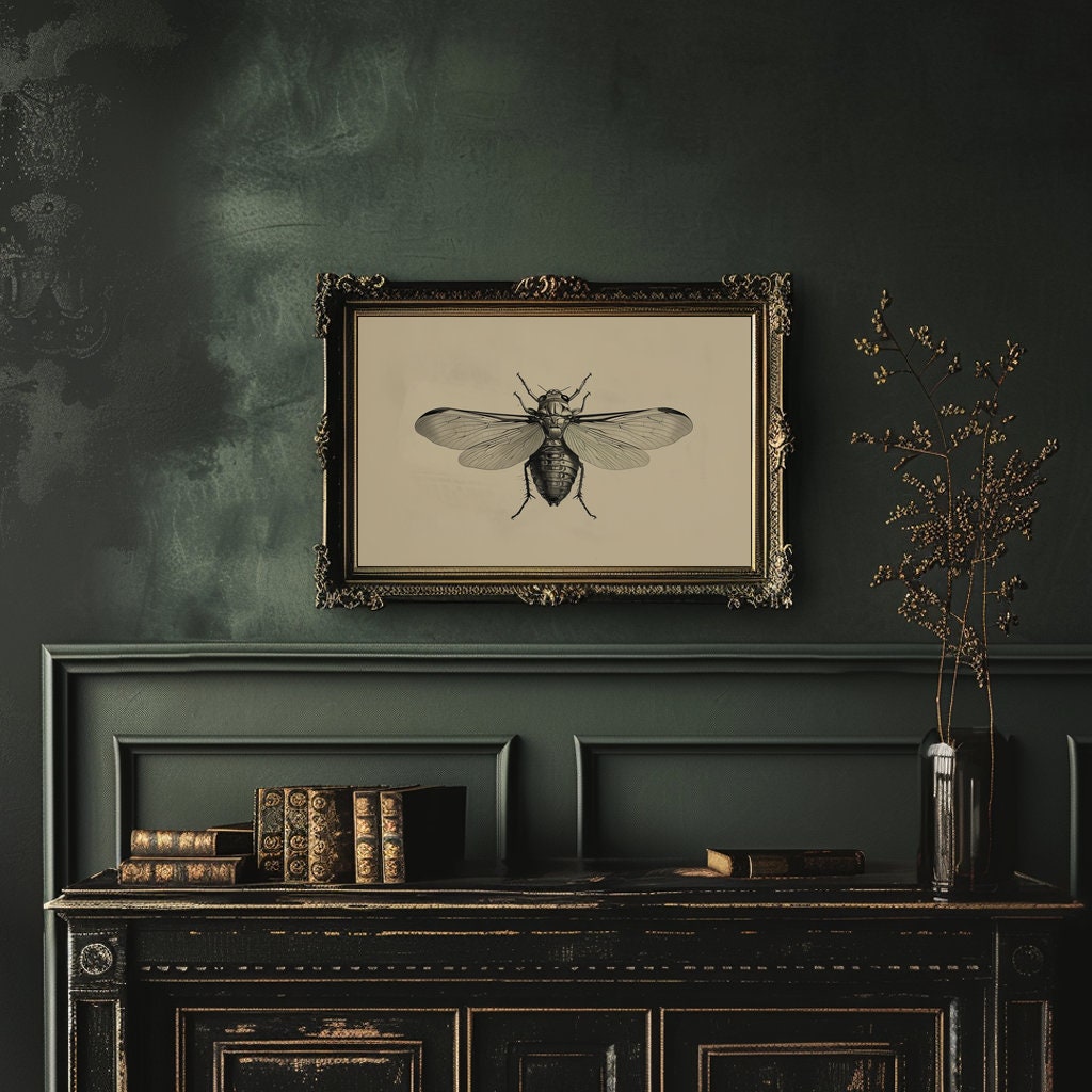 Simple Cicada Entomology Printable Illustration, Vintage Bug Anatomical ...