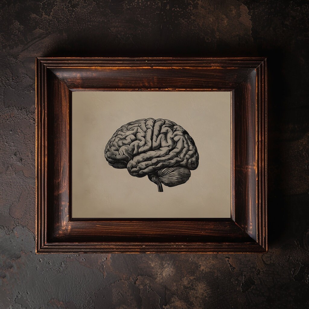 Human Brain Wall Art Printable Brain Anatomy Medical Poster Gothic ...