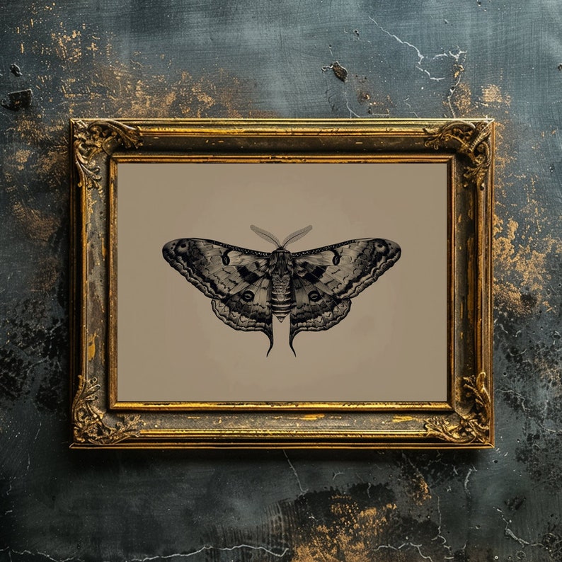 Vintage Moth Art Print Gothic Moth Printable Insect Entomology Sketch ...