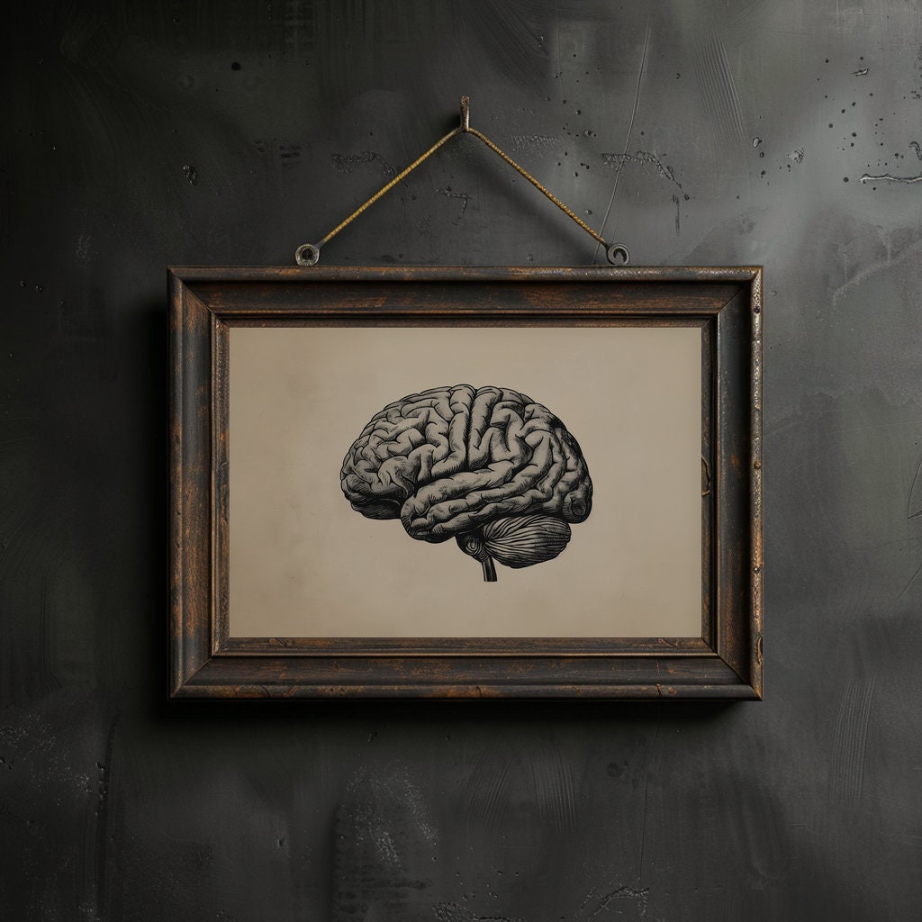 Human Brain Wall Art Printable Brain Anatomy Medical Poster Gothic ...
