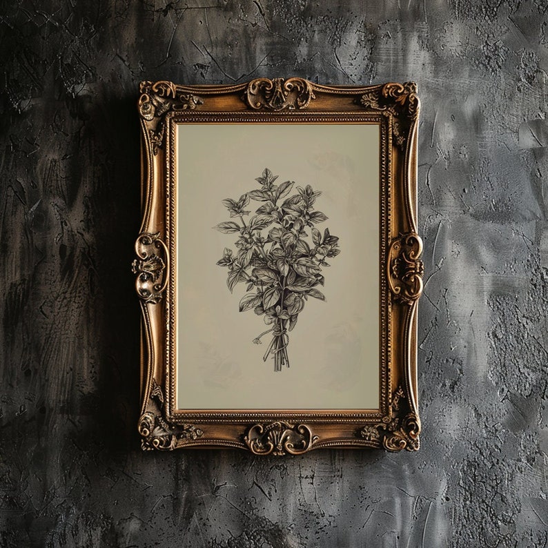 Oregano Botanical Wall Print Vintage Oregano Illustration Wall Art ...