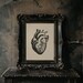 Human Heart Print Anatomical Heart Printable Vintage Heart Anatomy ...