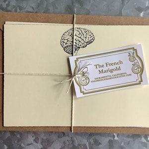 Brain Notecard Set of 12, Correspondence Card Set, Anatomy Card Set - Etsy