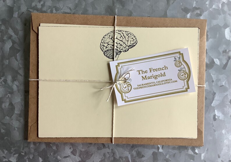 Brain Notecard Set of 12, Correspondence Card Set, Anatomy Card Set - Etsy