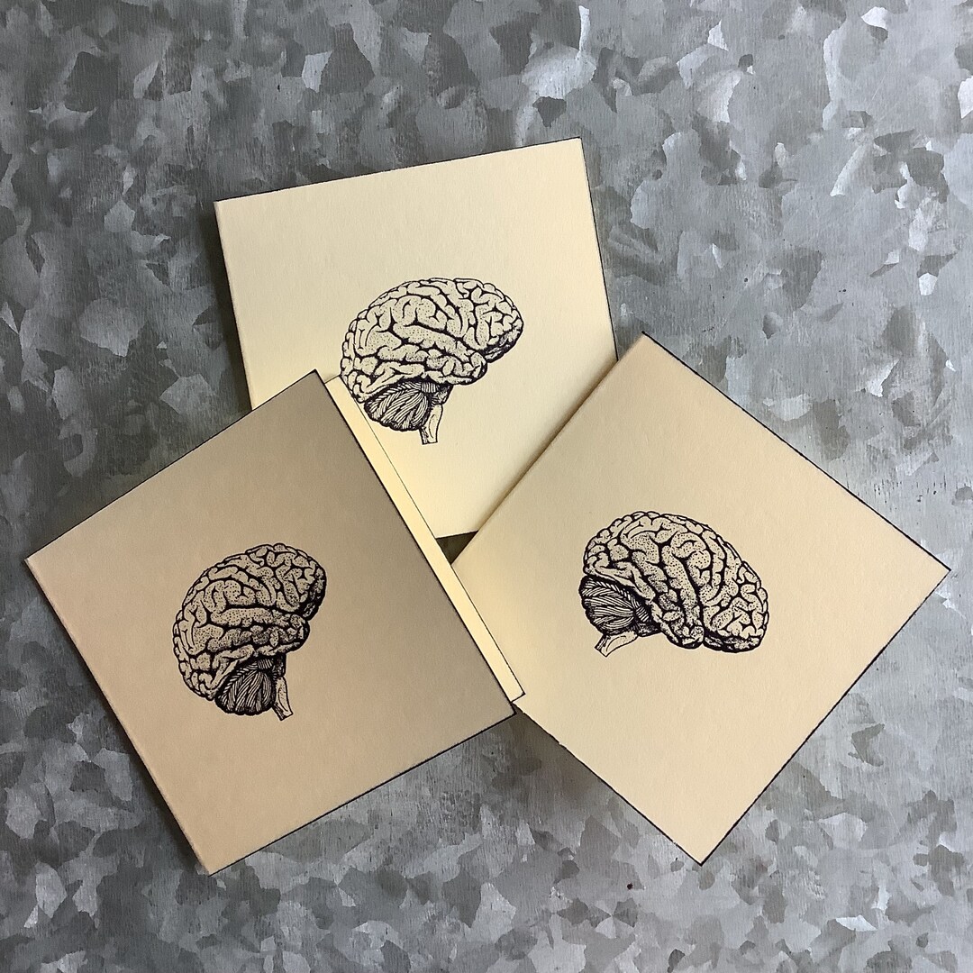 12 Mini Blank Brain Notecards, Gift Tags, Mini Cards With Envelopes - Etsy