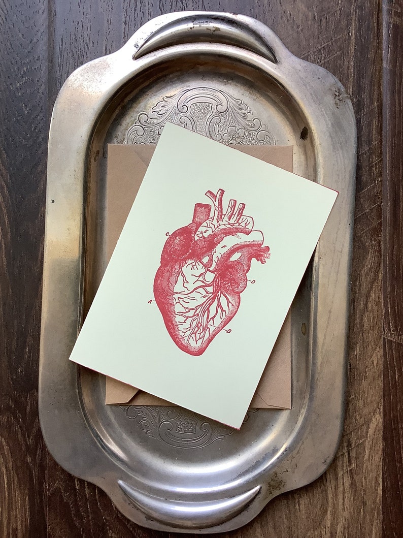 Anatomical Heart Cards Set of 10 in Ivory, White, Yellow or Pink With ...
