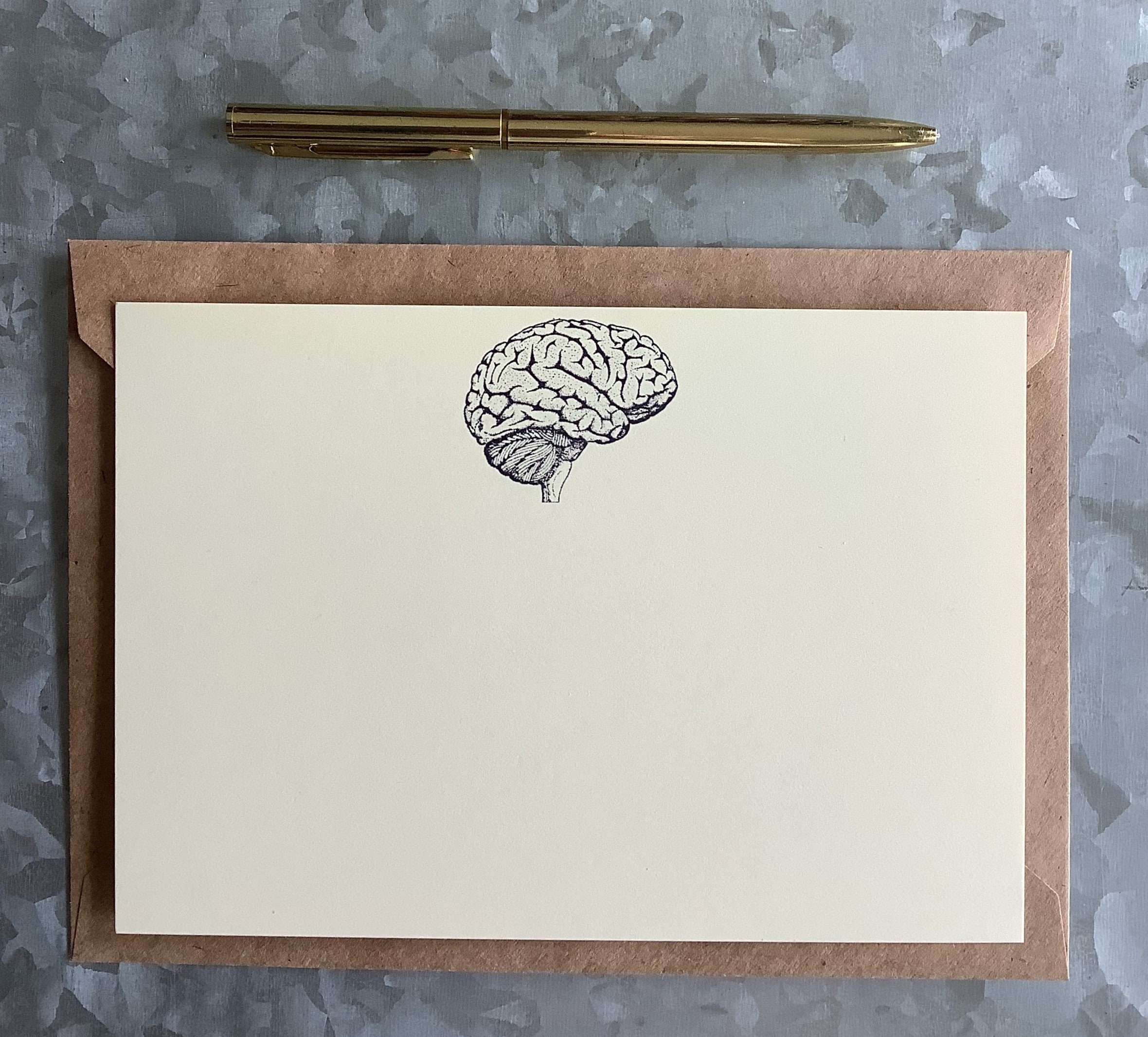 Brain Notecard Set of 12, Correspondence Card Set, Anatomy Card Set - Etsy