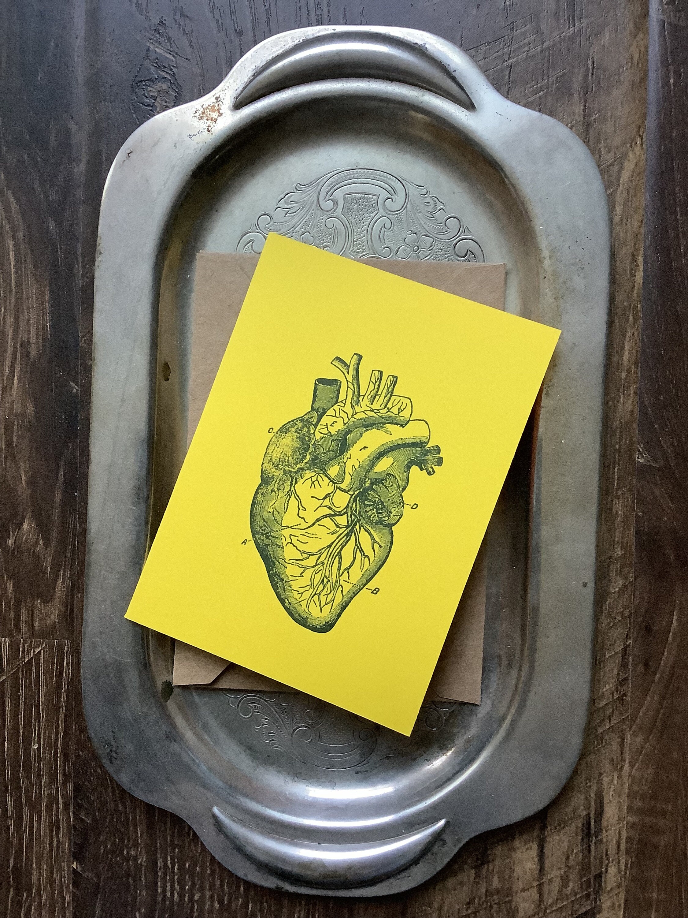 Anatomical Heart Cards Set of 10 in Ivory, White, Yellow or Pink With ...