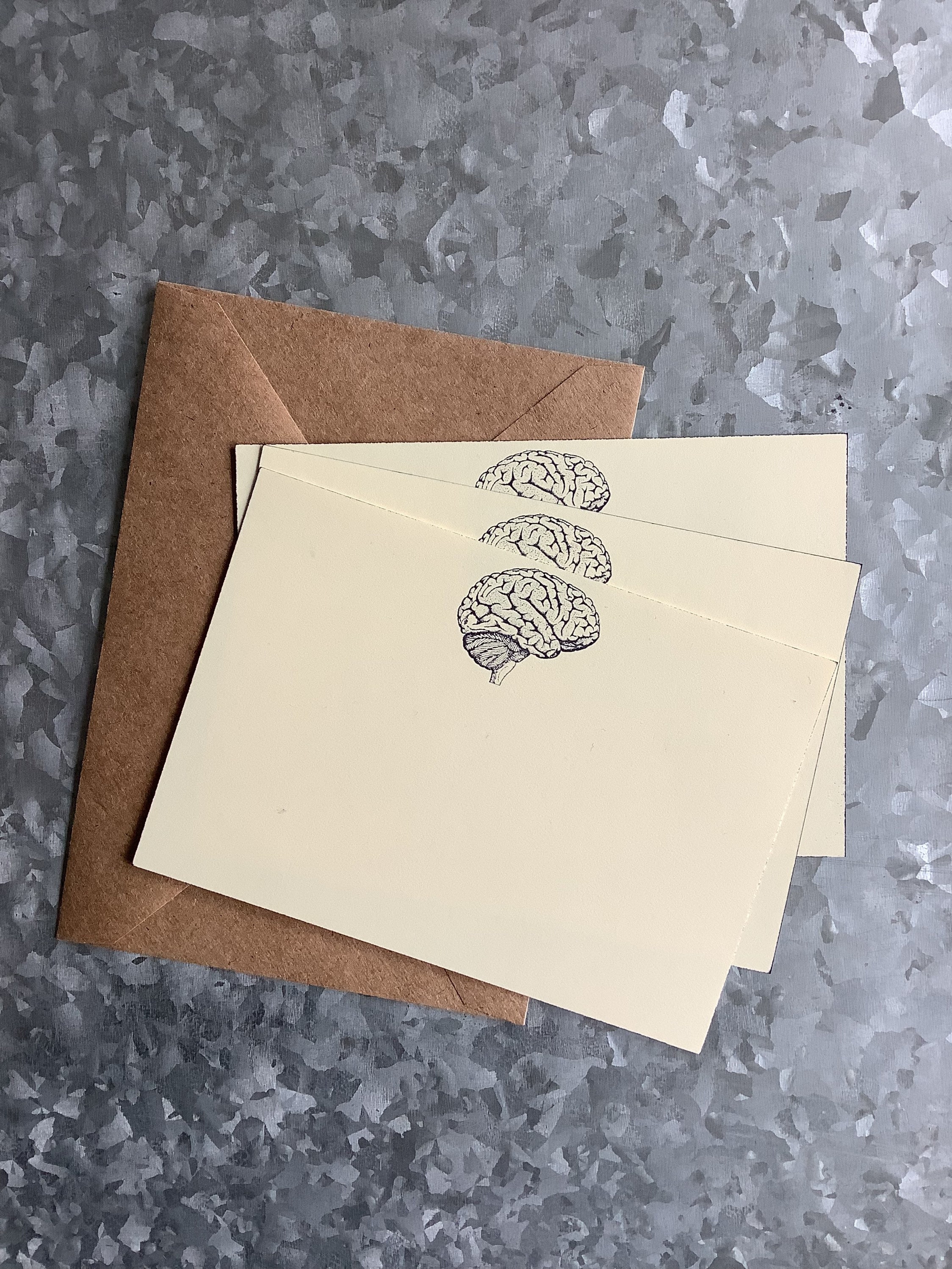 Brain Notecard Set of 12, Correspondence Card Set, Anatomy Card Set - Etsy