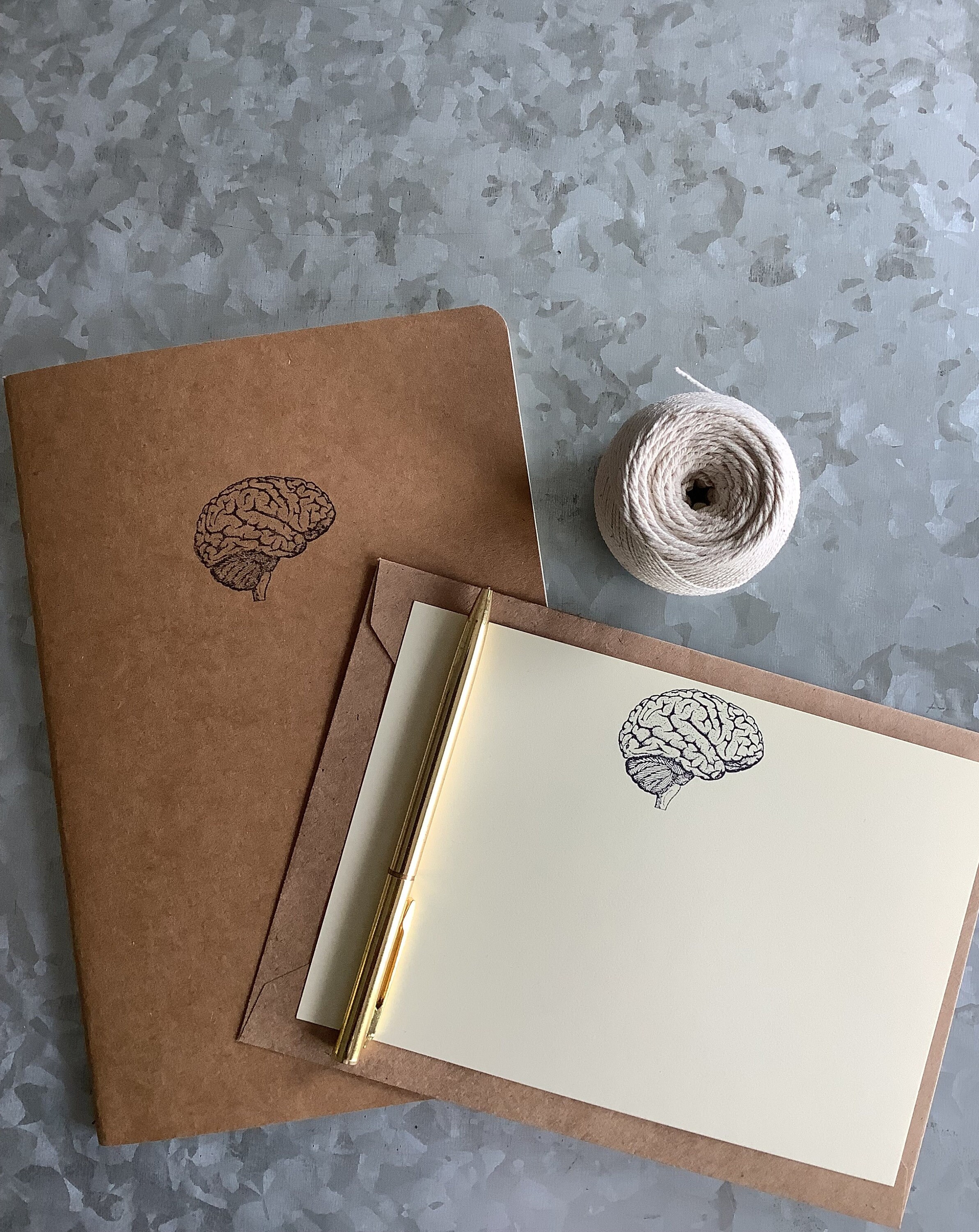 Brain Notecard Set of 12, Correspondence Card Set, Anatomy Card Set - Etsy