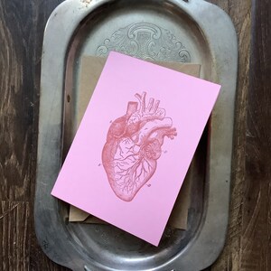 Anatomical Heart Cards Set of 10 in Ivory, White, Yellow or Pink With ...
