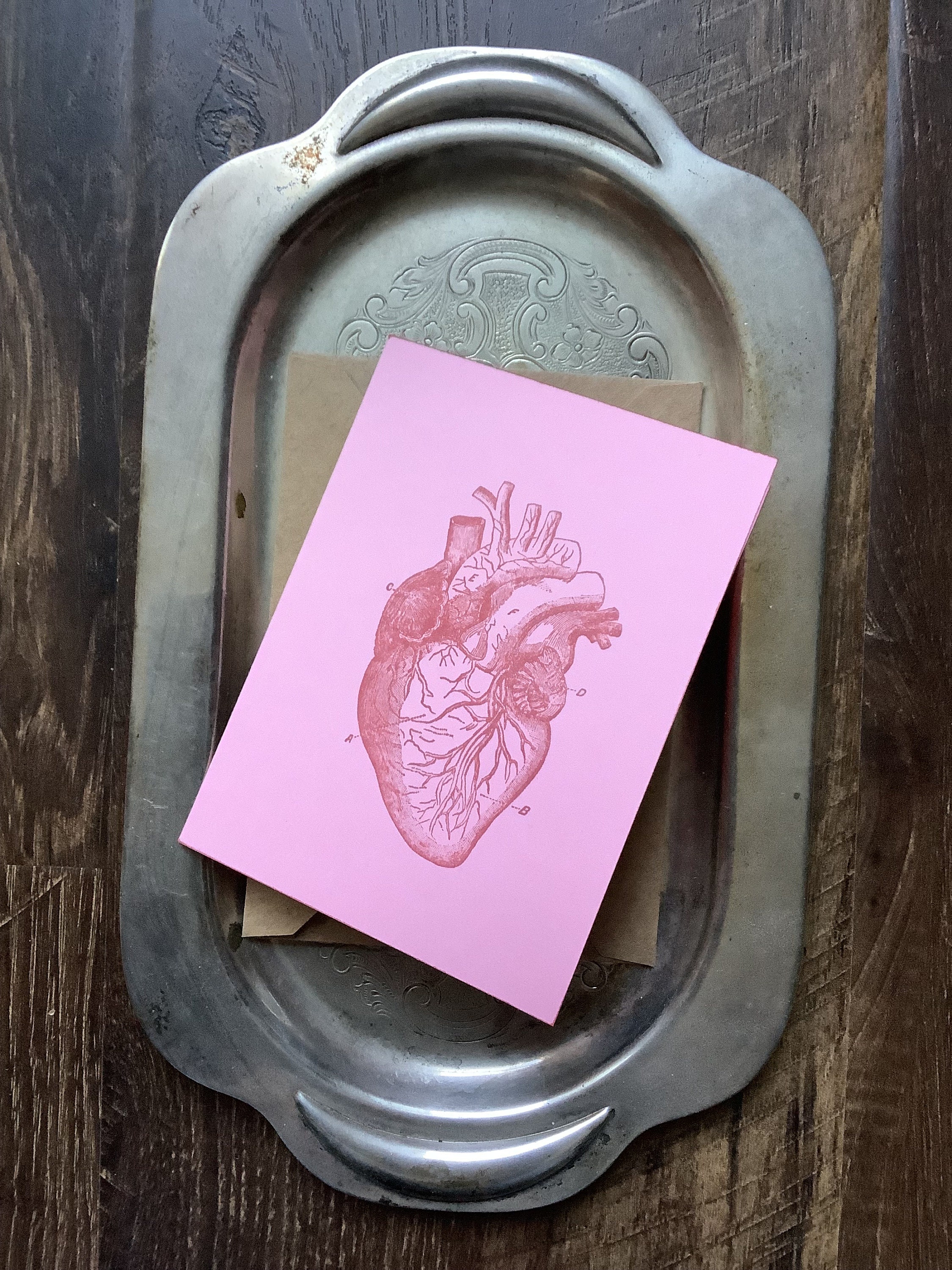 Anatomical Heart Cards Set of 10 in Ivory, White, Yellow or Pink With ...