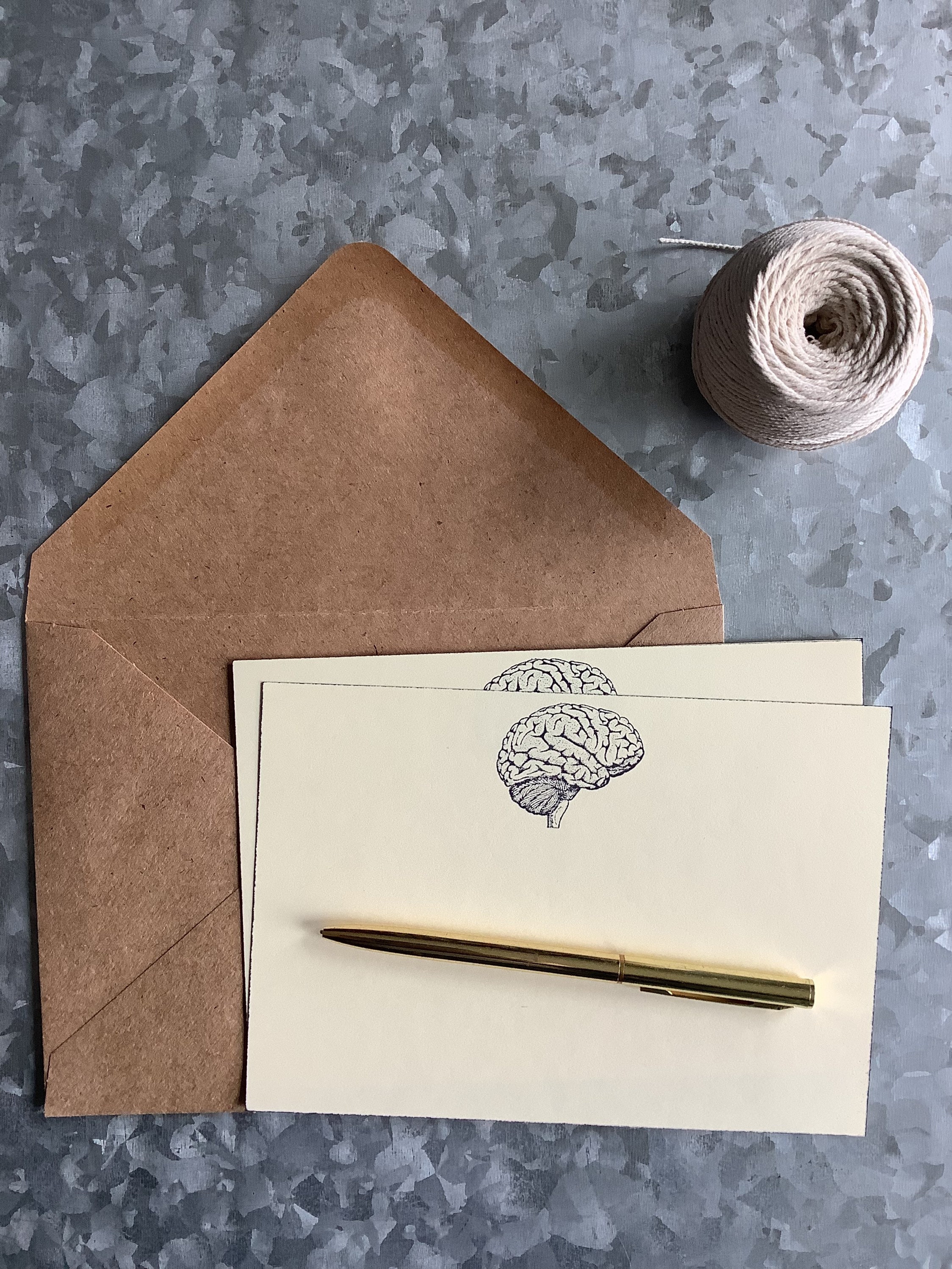 Brain Notecard Set of 12, Correspondence Card Set, Anatomy Card Set - Etsy