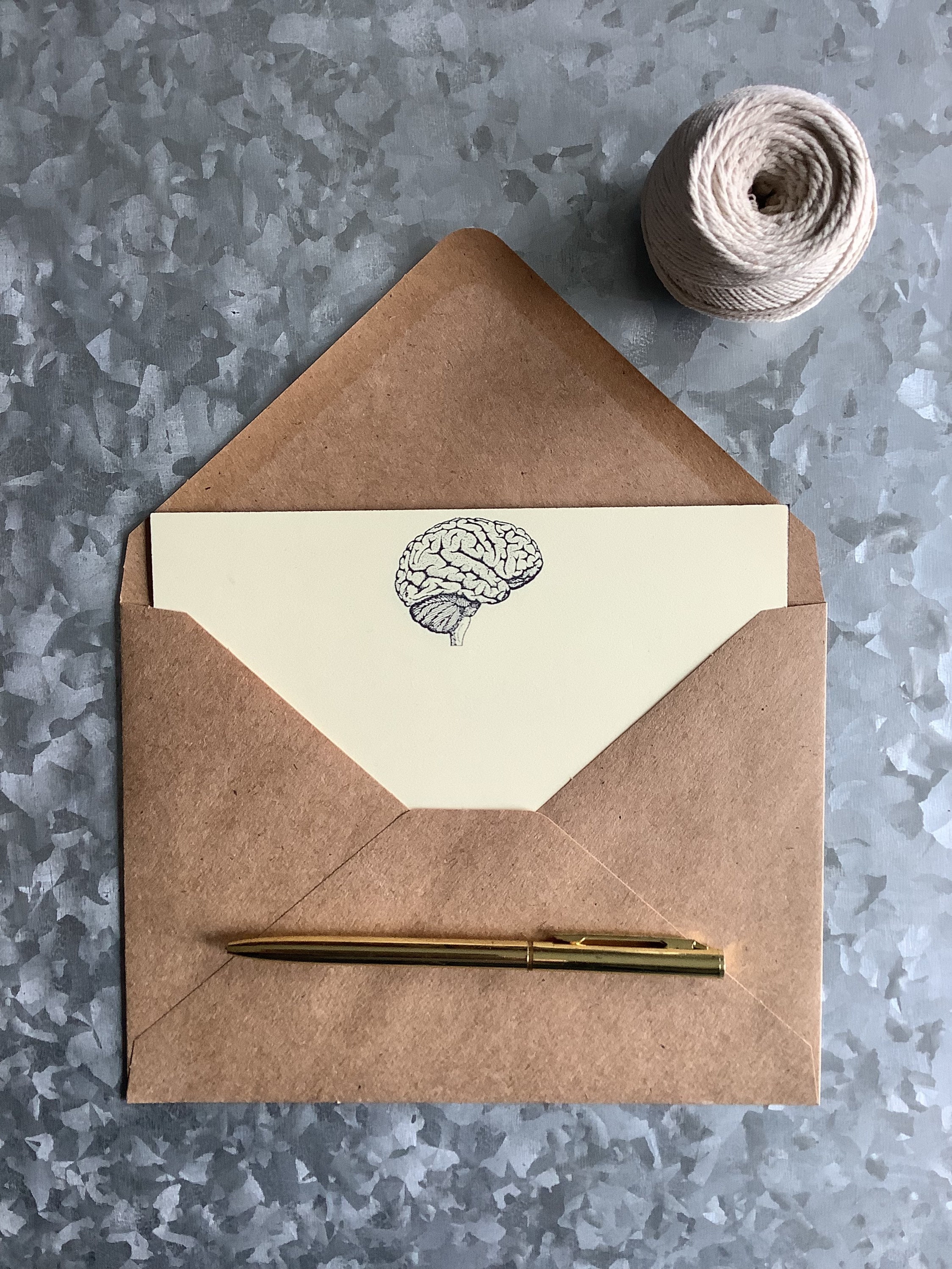 Brain Notecard Set of 12, Correspondence Card Set, Anatomy Card Set - Etsy