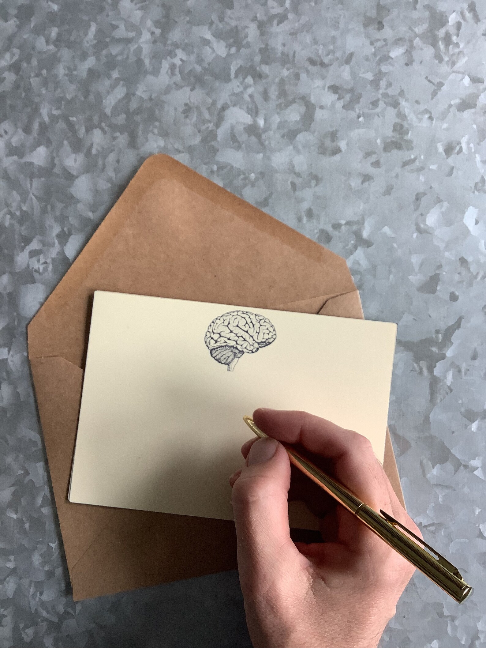 Brain Notecard Set of 12, Correspondence Card Set, Anatomy Card Set - Etsy