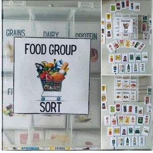 Special Education Task Box | Food Groups | Sorting Task | Autism Task ...