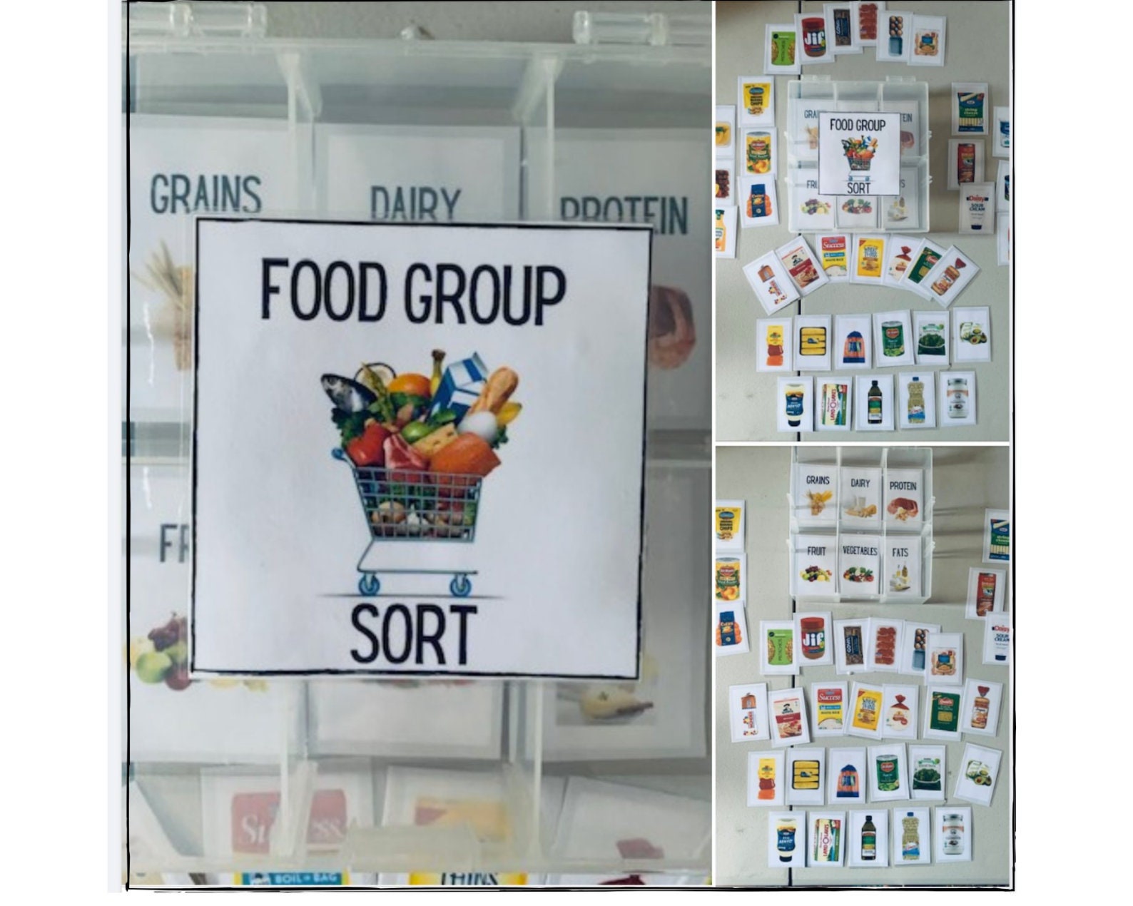 Special Education Task Box | Food Groups | Sorting Task | Autism Task ...