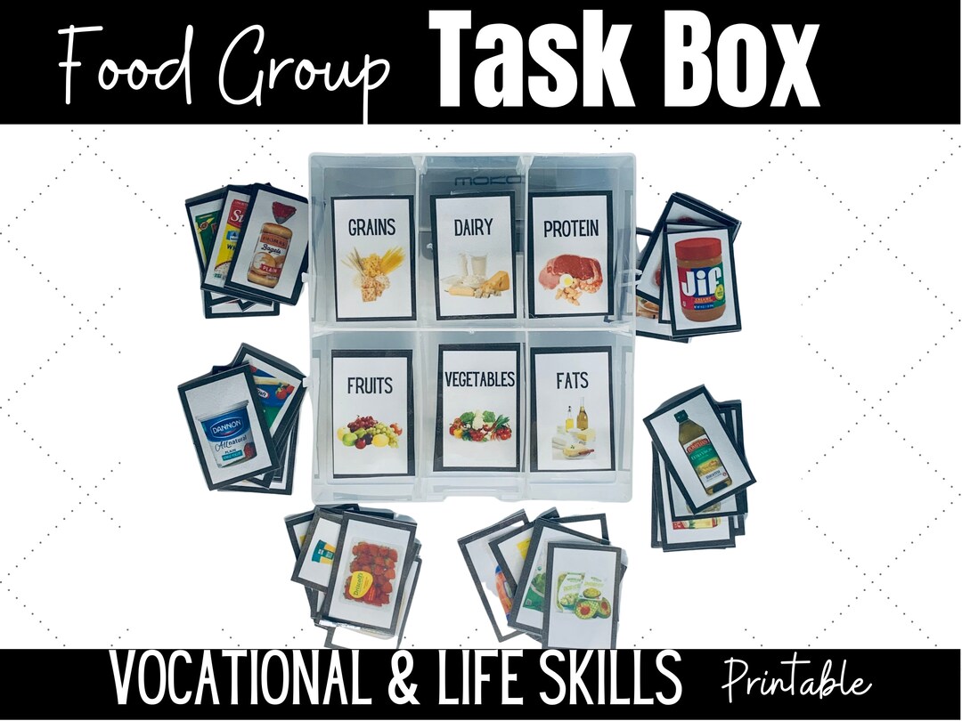 Special Education Task Box Food Groups Sorting Task - Etsy