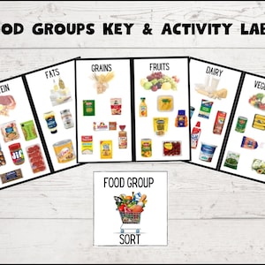 Food Group Sorting Activity Real Food Pictures Food Pyramid Food ...