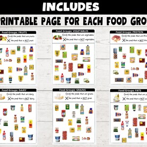Food Group Printable Packet, Food Pyramid Resource, Healthy Eating ...