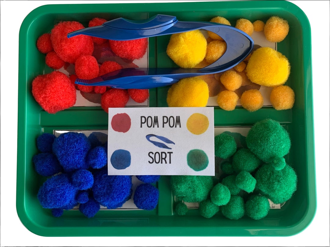 Pom Pom Sorting Fine Motor Task With Color Sorting - Etsy