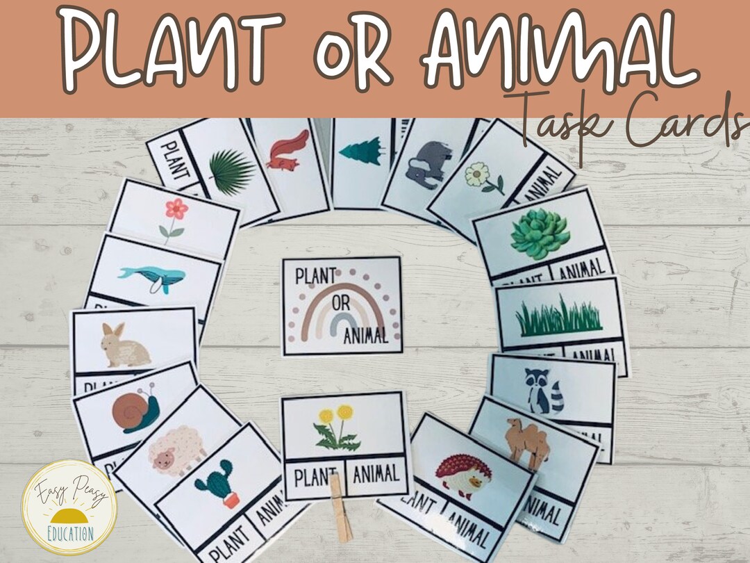 Plant or Animal Task Cards Clip Cards for Science Habitat - Etsy
