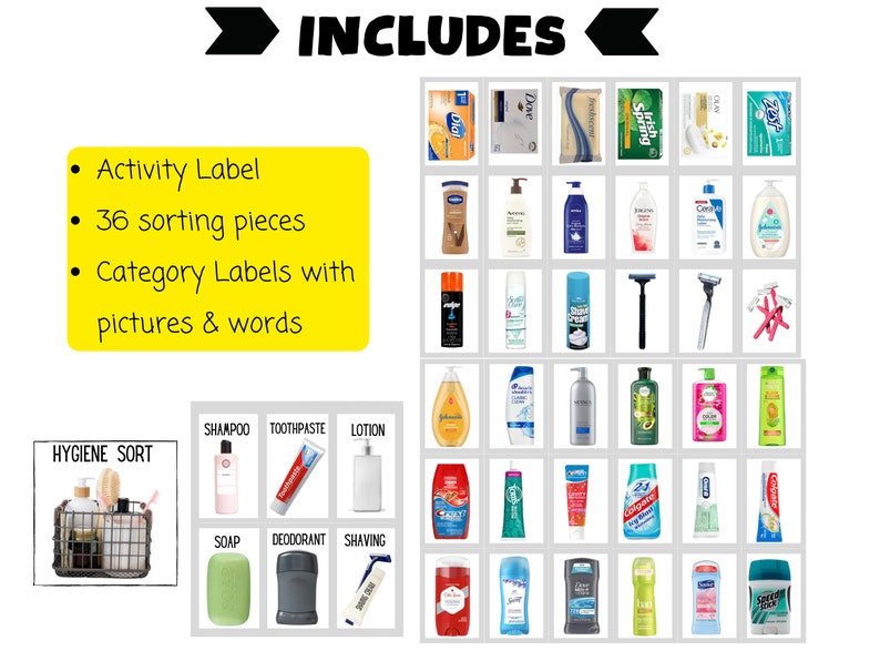 Special Education Task Box | Life Skills Task Box | Sort the Hygiene ...